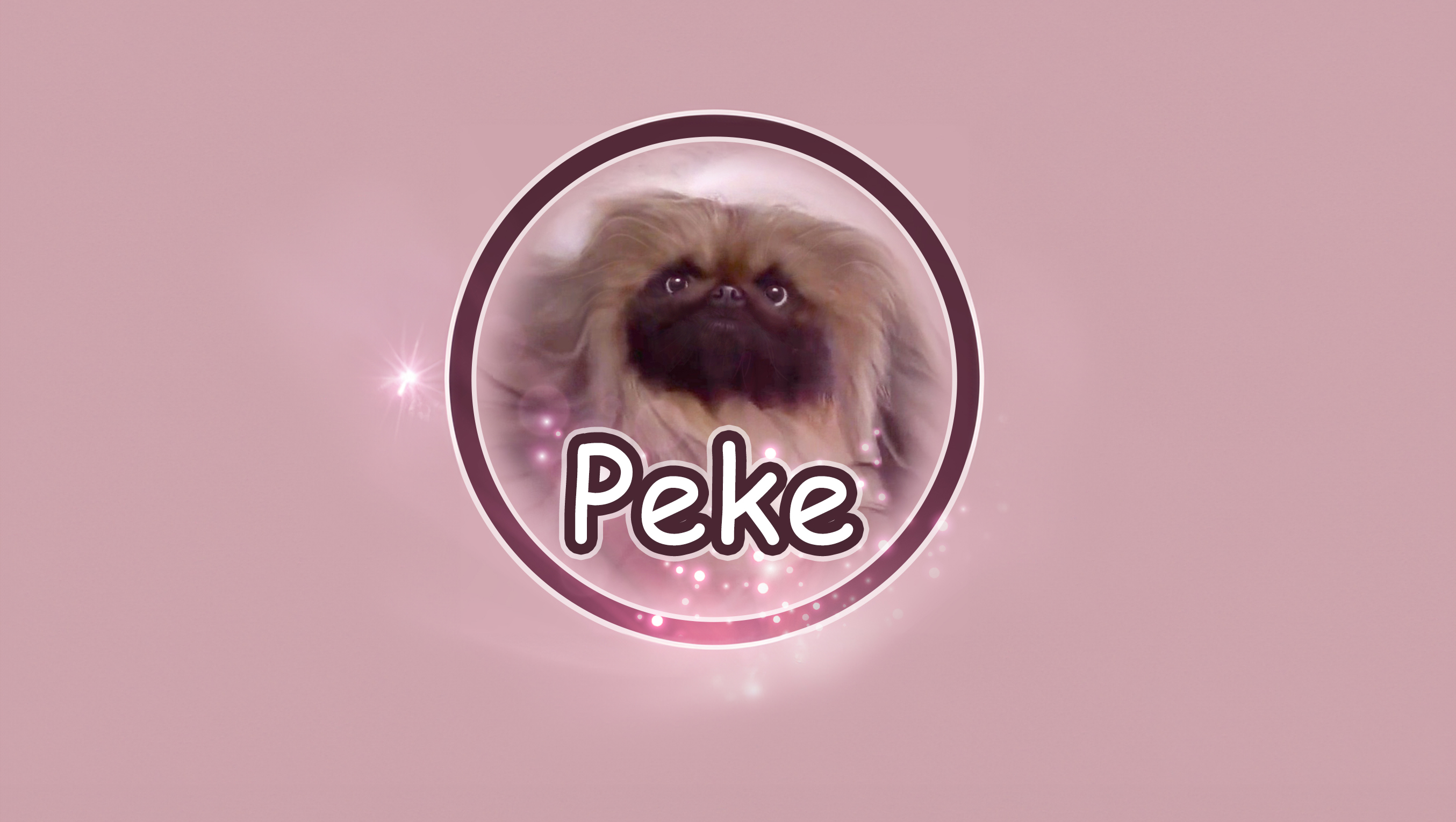 $Peke Coin - Peke is an Epic Dog.